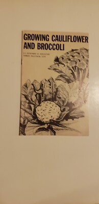 Growing Cauliflower Broccoli Crops Research Division Ag Research ...