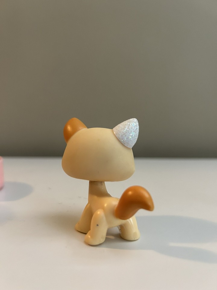 LPS #626 LITTLEST PETSHOP ORIGINAL CHAT CAT AUTHENTIQUE MAINE COON ...