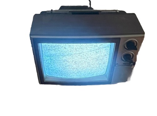 1981 13-inch Vintage Hitachi Side Wood Grain Color TV (contact Me For ...