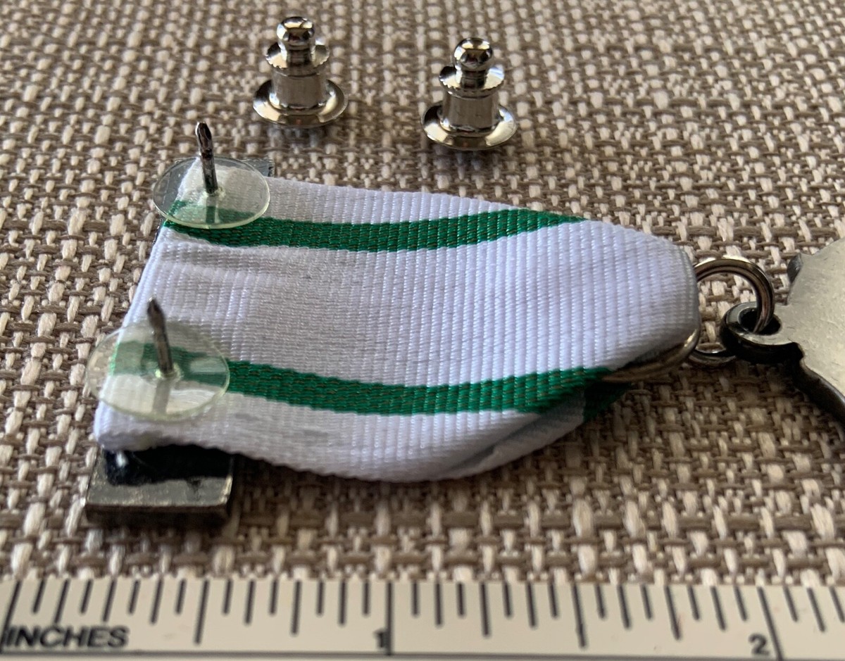 Venturing Silver Award Girl Scout Silver Award Scout Boy Scouts