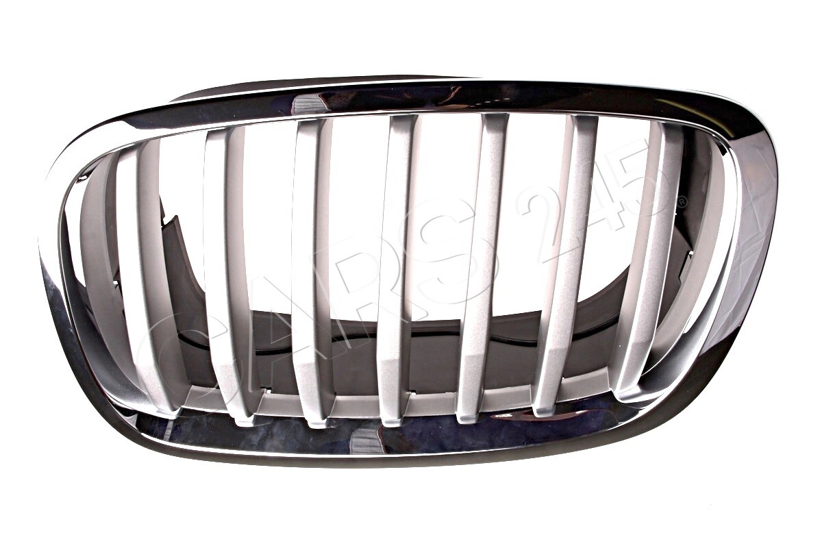 Genuine BMW X6 E71 Radiator Kidney Titanium Grille Left OEM 51137307599 ...