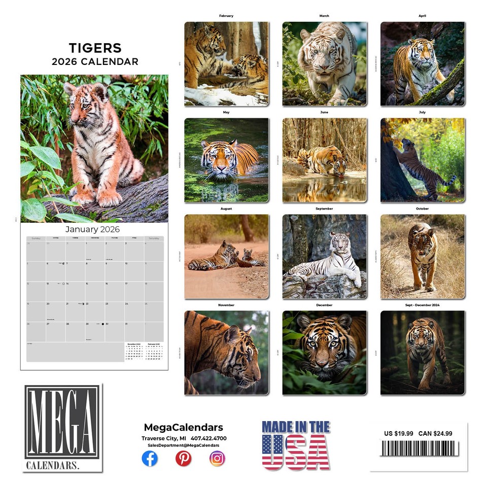 Tigers Calendar 2026 FULL SIZE 12x24 Made in USA | eBay