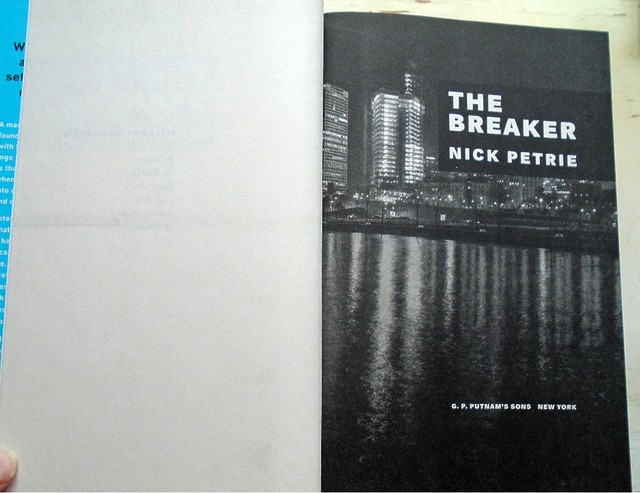 The Breaker by Nick Petrie Hardcover 1st 2021 for sale online | eBay