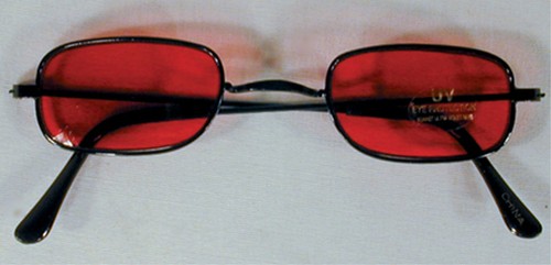 Steampunk Cosplay GOTHIC VAMPIRE SUN GLASSES Rocker Halloween costume ...