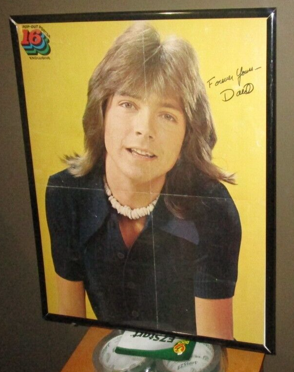 COOL VINTAGE LARGE POSTER DAVID CASSIDY SWEET 16 MAGAZINE POSTER FROM 70s FRAMED | eBay