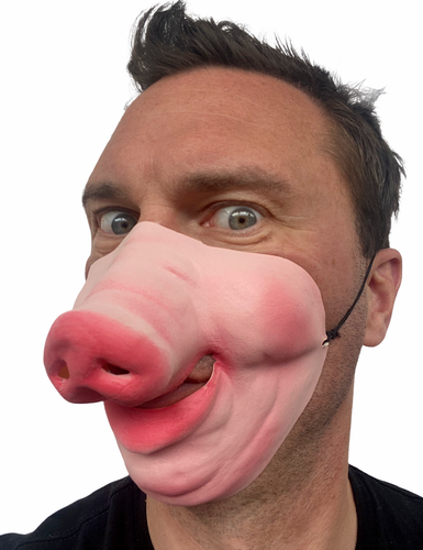 Half Face Pig Nose Snout Mask Latex Fancy Dress Stag Night Novelty Fun ...