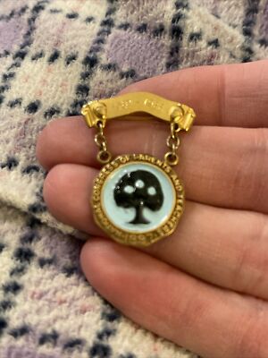 Vintage National Congress of Parents & Teacher Gold Tone Enamel Lapel ...