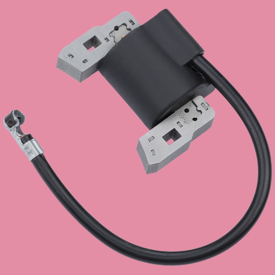 Ignition Coil to Eliminate Points 5hp For Briggs & Stratton 397358 ...