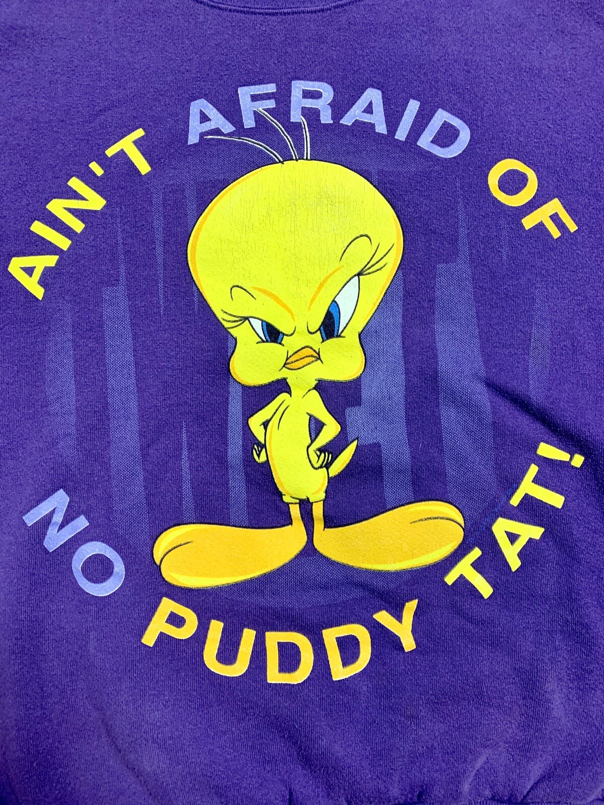 Tultex Tweety Bird Looney Tunes Black Sweatshirt 1996 Ain't Afraid of ...