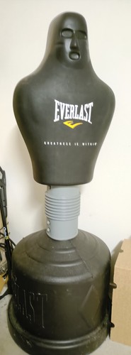 EVERLAST Everflex Boxing Sparring Partner Used Mint Condition | eBay ...