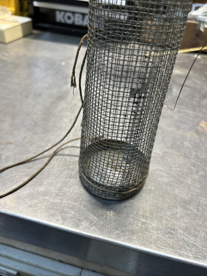 Vintage Live Bait Box Cage Fly Fishing Tube Container for Crickets ...