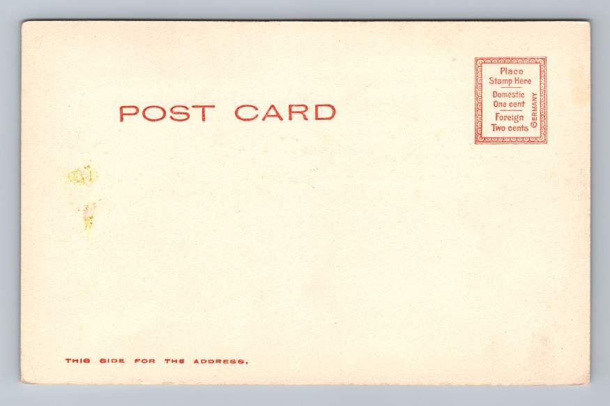 Ormond Hotel ~ Antique Hand Colored Florida Postcard Rotograph UDB 1908 ...