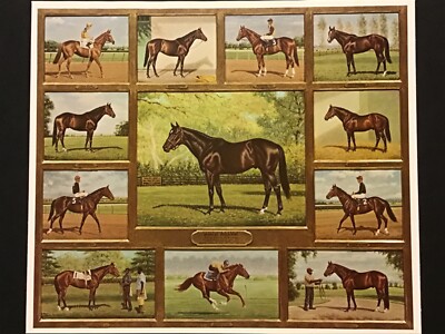 BOLD RULER 10 x 9 Photo Horse Racing SECRETARIAT ELEVEN RACING ...