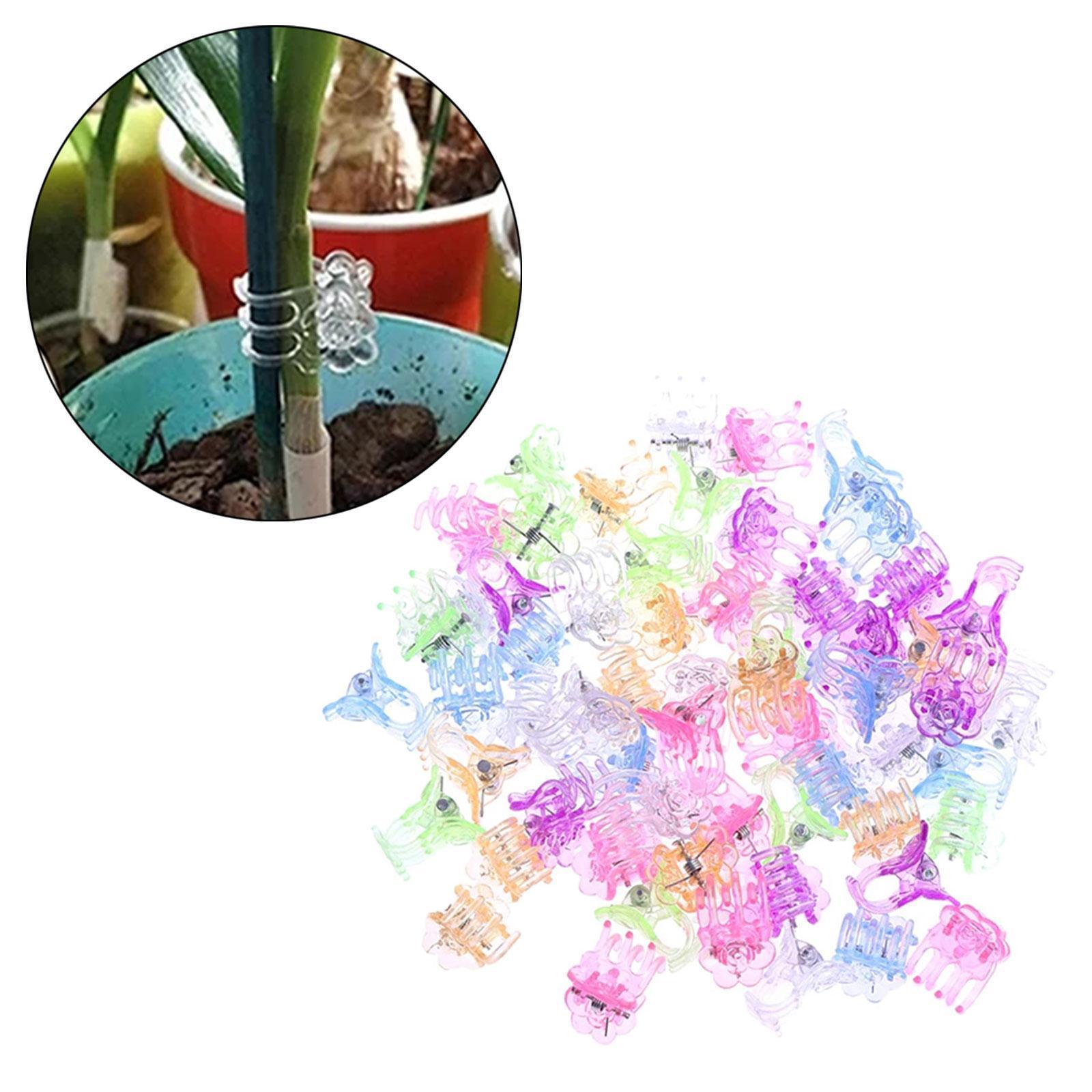 60 Pieces Orchid Clips Plant Support Clips Orchid Support Clips Clamps ...