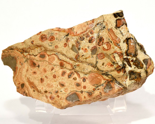 305g Leopard Skin Jasper Rough Leopardite Crystal Natural Mineral ...