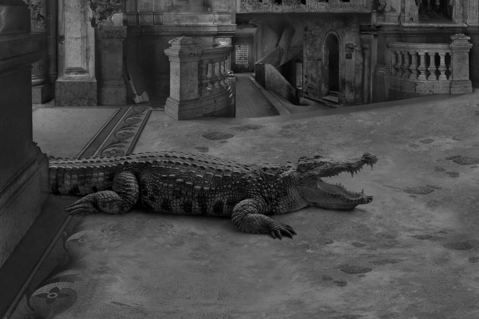 Fine Art Photography Signed Ltd Edition Crocodile & Little Girl by ...