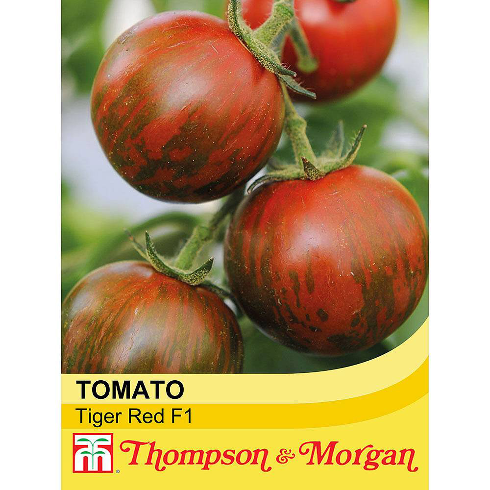 Tomato Seed Packets Hybrid Garden Plants 4 - 50 Seeds Options Tomatoes ...