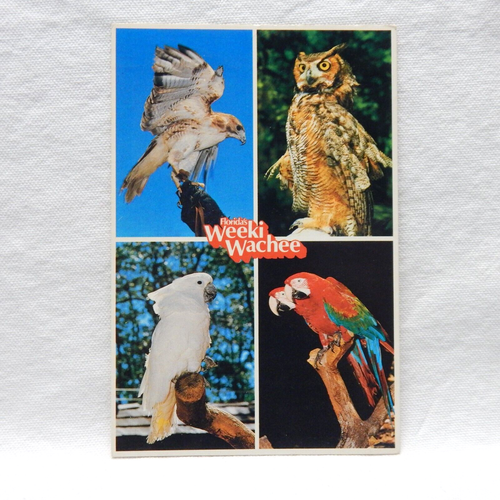 FLORIDA WEEKI WACHEE EXOTIC BIRD SHOW | eBay