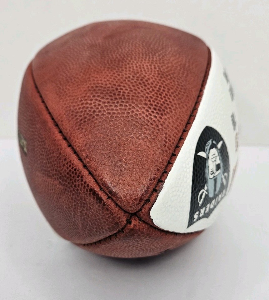 Official NFL Game Ball Wilson "The Duke" Football Randy Jordan Redskins ...
