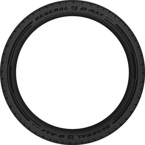 GENERAL G-MAX AS-07 255/40ZR19 100/W XL BSW High Performance Tire | eBay