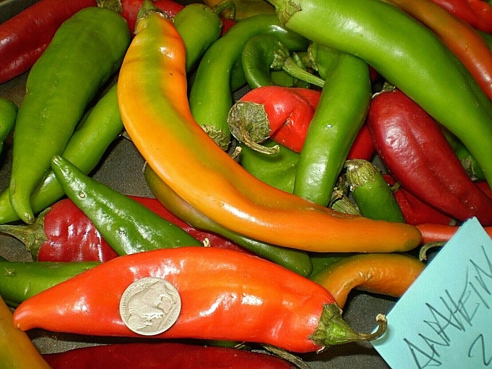 more #2 ASSORTED CHILI PEPPER SEEDS 25 varieties you choose hot mild ...