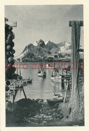 Photo d'achat, WW2, Norvège, Pure aux Lofoten, 1941, 5026-560 | eBay