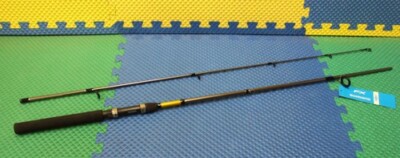 Shimano FXS-C2 Spinning Rod 2-Piece 6' 6" Medium Heavy FXS66MHC2 | eBay