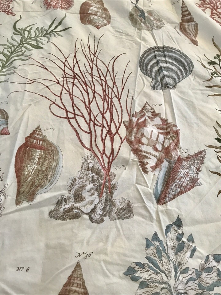 POTTERY BARN DUVET SEASHELLS CORAL CLAMSHELLS CONCH F/Q 100% COTTON | eBay
