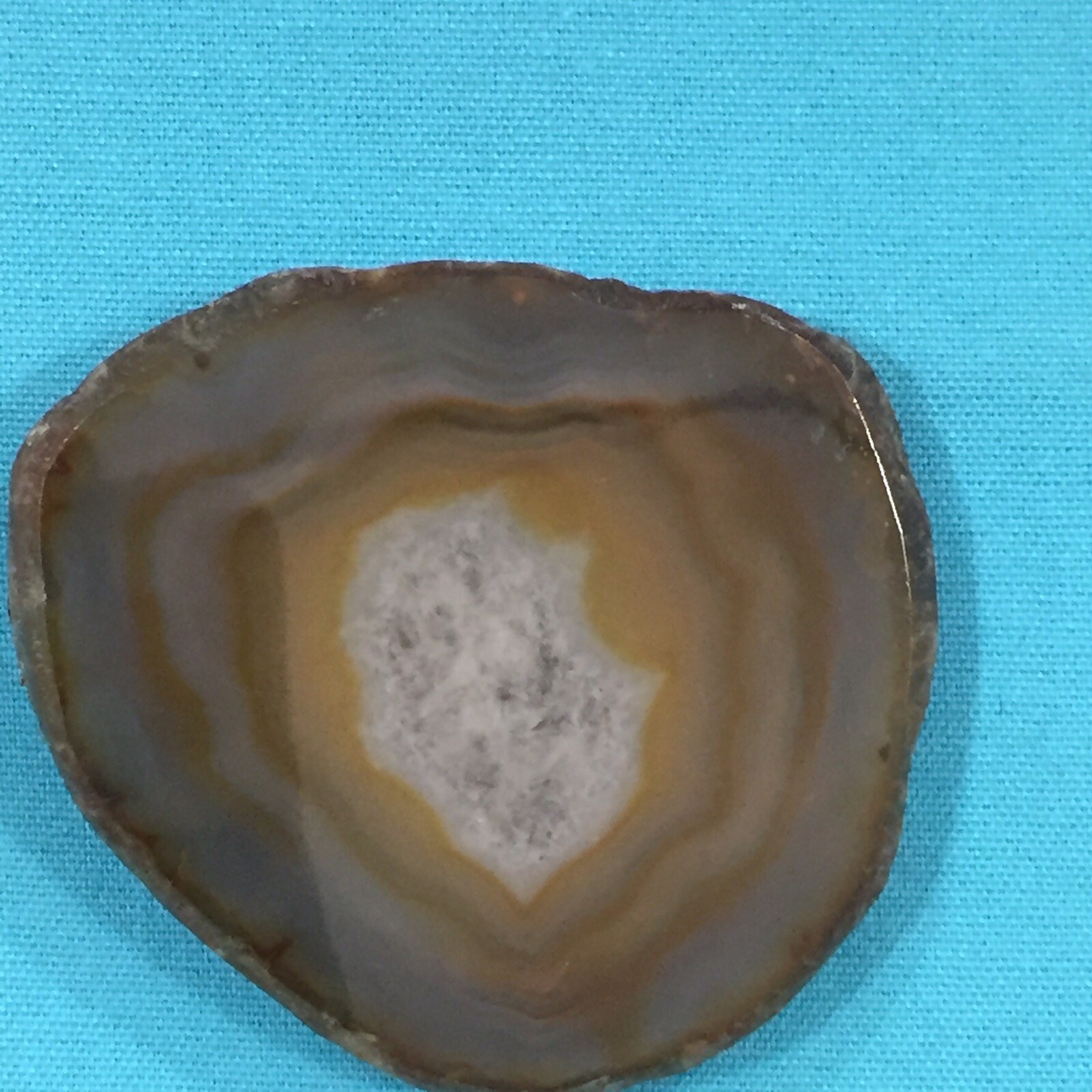 Vintage Belt Buckle Genuine Sliced Brazilian Agate Le… - Gem