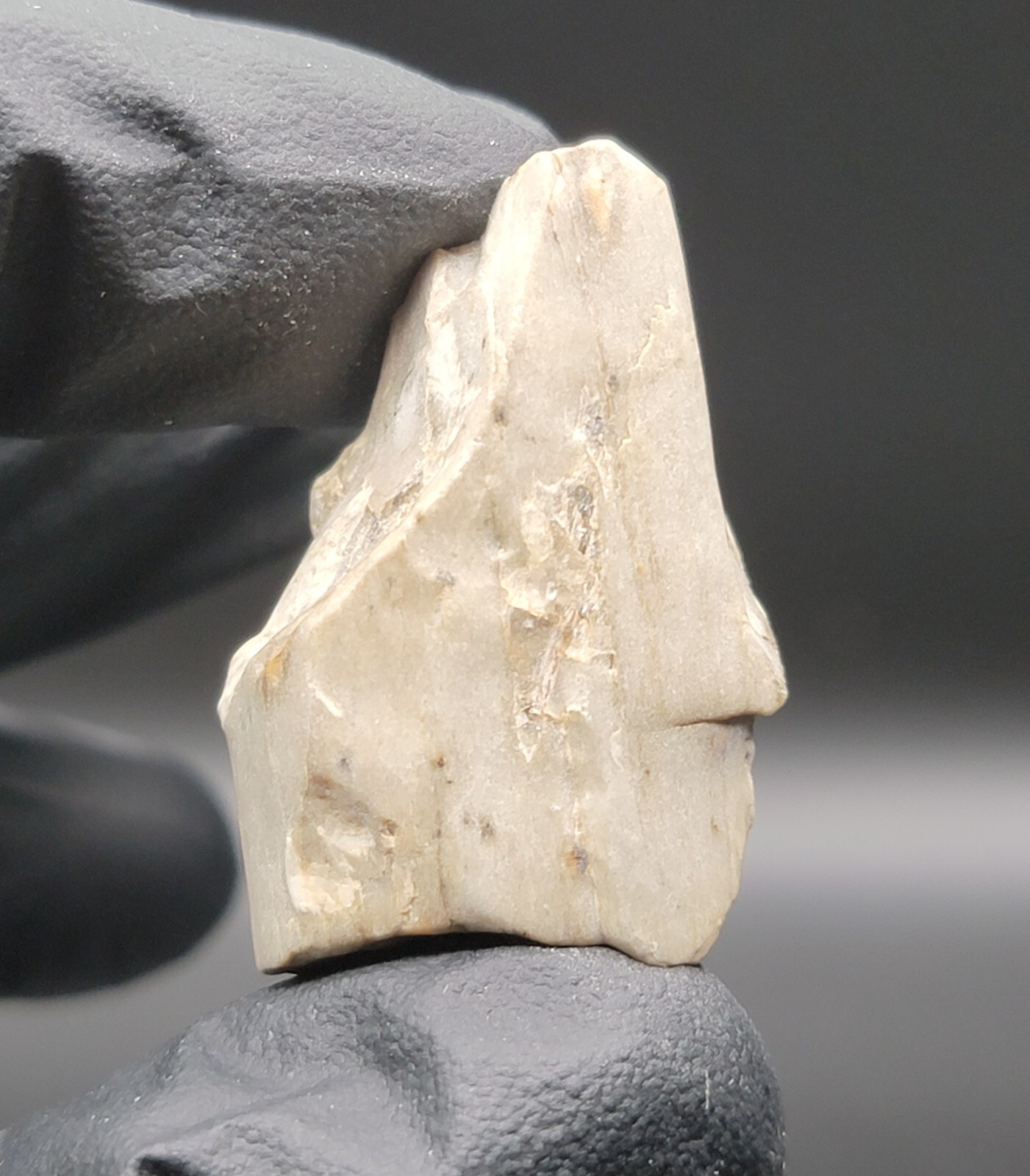 SEBKHA EL MELAH 001 12.17g Meteorite, Aubrite Crystal, IMCA#s 6236/7294 ...