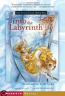 INTO THE LABYRINTH By Roderick Townley - Hardcover *Excellent Condition ...