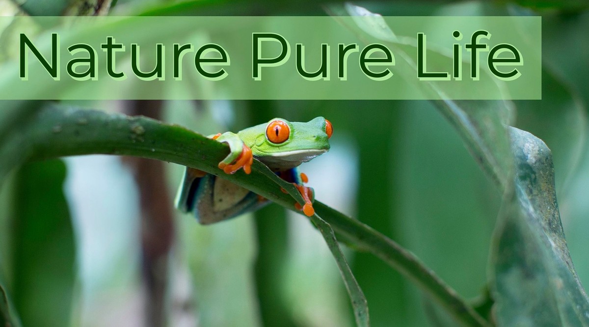 purenaturelife | eBay Stores