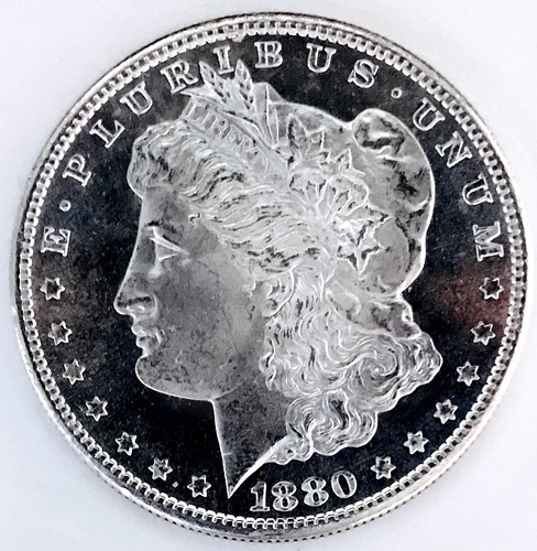 1880 S MORGAN DOLLAR! AMAZING MORGAN! A GREAT SILVE FIND! MUST SEE! NR ...