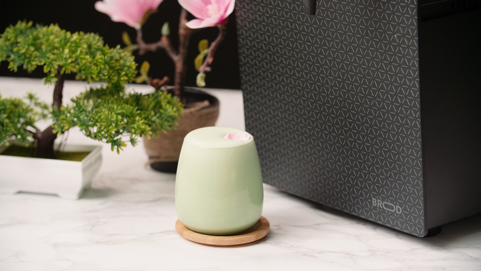 BROOD DRNX DUO Nitro Cold Brew System | eBay