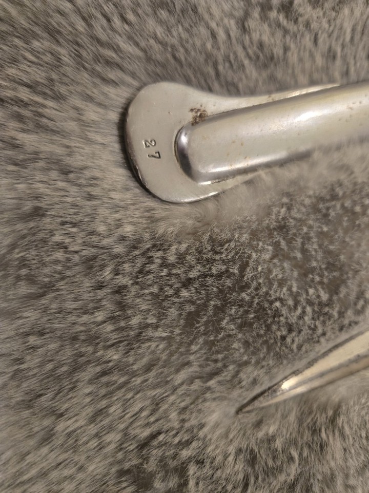 ANTIQUE JULES FONSON ENGRAVED LIONHEAD BELGIAN OFFICERS SABER | eBay