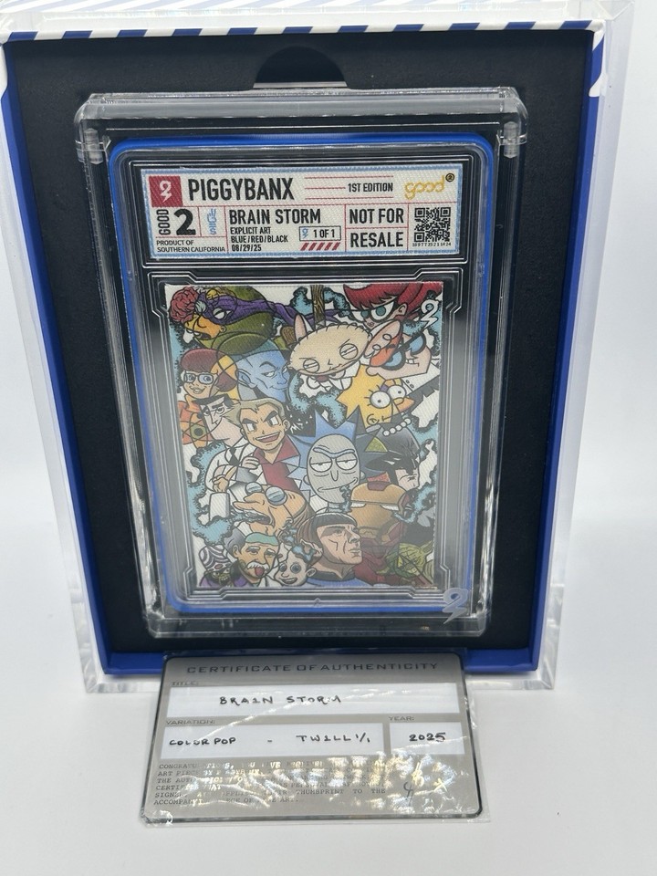 PiggyBanx Brain Storm, 1/1, Twill, 2025. Box And CoA | eBay