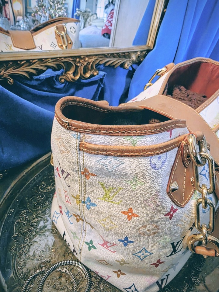LOUIS VUITTON MURAKAMI Multi Color Monogram ANNIE GM RARE | eBay