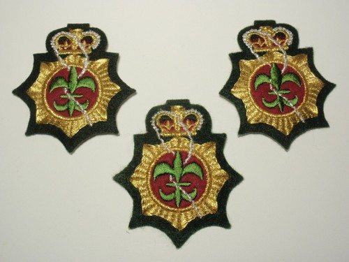 Lot 3 Embroidered Crest Emblem Iron On Patch Applique | eBay