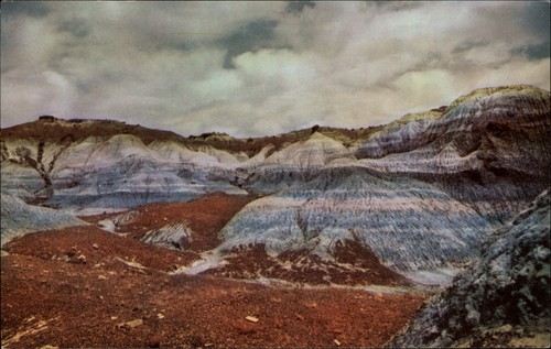 Petrified Forest Arizona Blue Forest rock formations unused vintage ...
