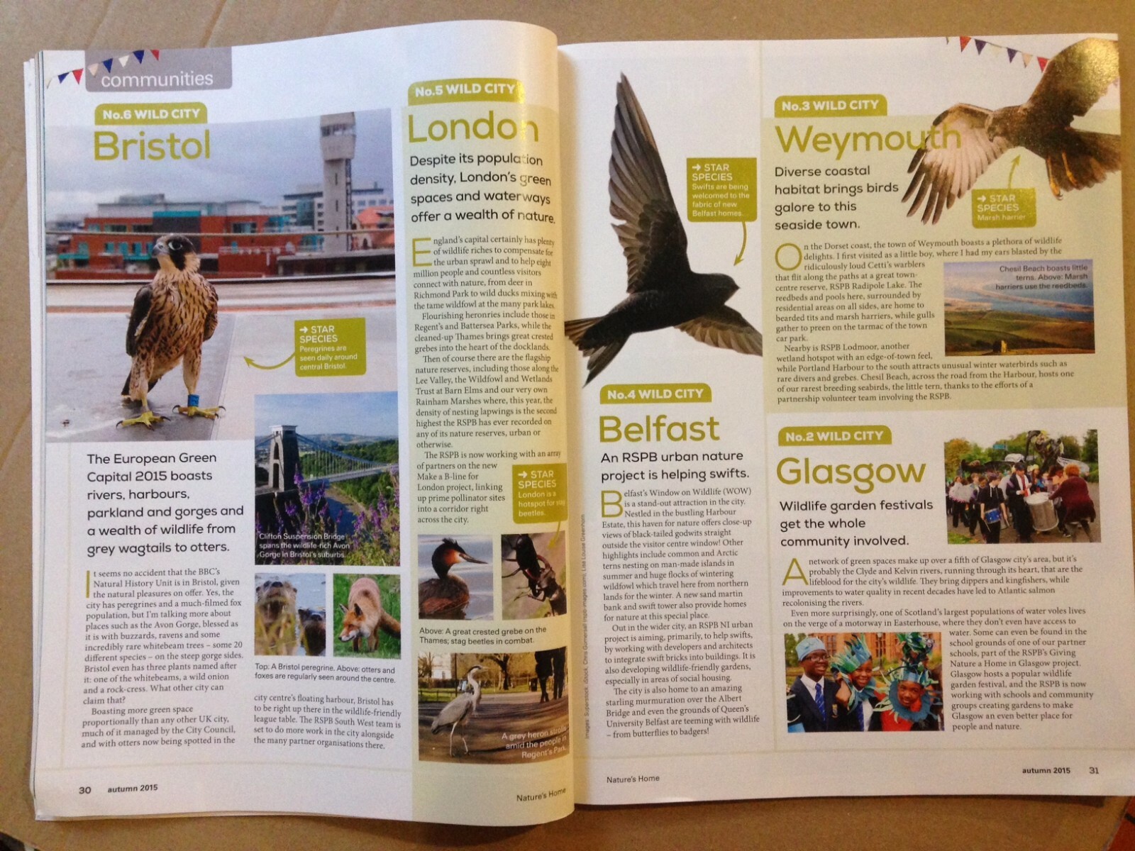 NATURES HOME RSPB MAGAZINE 2 ISSUES SUMMER / AUTUMN 2015 | eBay UK