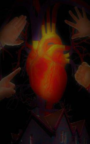 Where the Heart Lies by Mads Stokes (2017, Trade Paperback) for sale ...