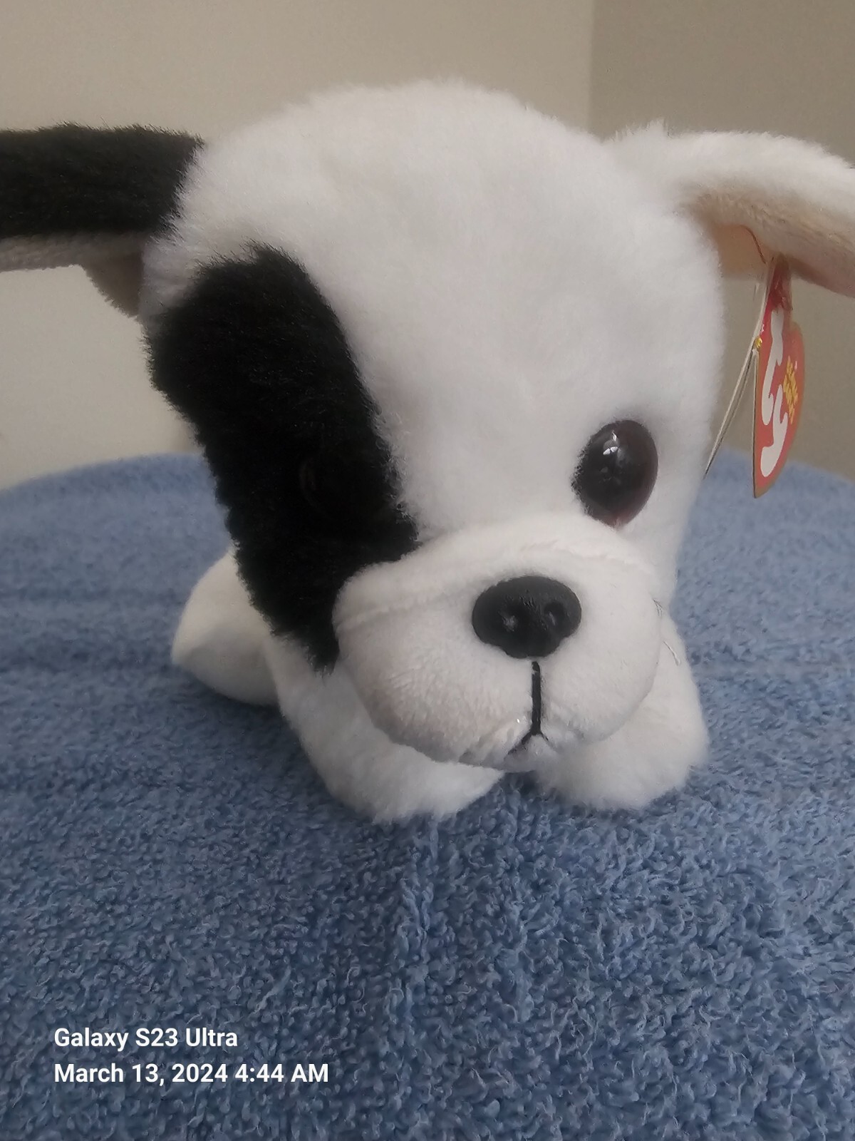 MARCEL PUPPY 2021 New, Birthday April 17th, From the Ty Beanie ...