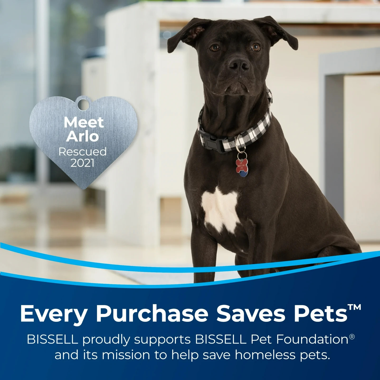 NEW! BISSELL PowerForce Helix Bagless Upright Vacuum 3313, Blue, Free ...