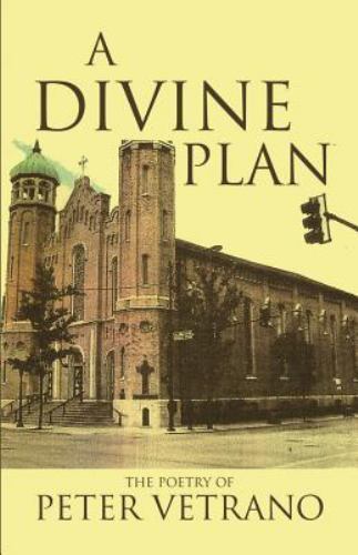 Divine Plan by Peter Vetrano (2013, Trade Paperback) for sale online | eBay