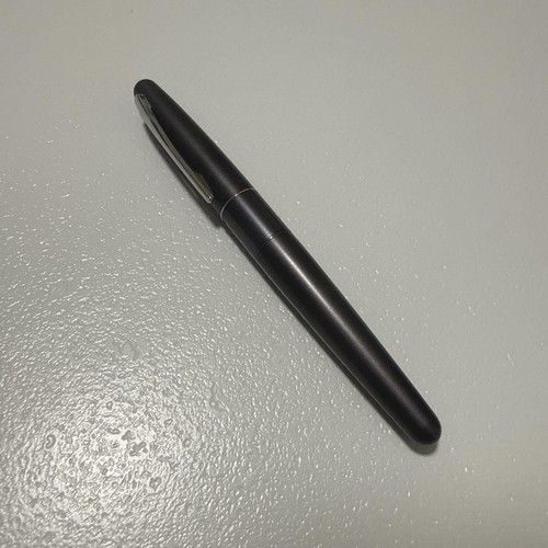 PILOT Fountain Pen Cocoon (Gray, M) | eBay