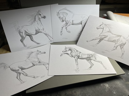 Original Drawings Art Pencil Set 5 sketches Dynamic horses 8”x10" A4 ...