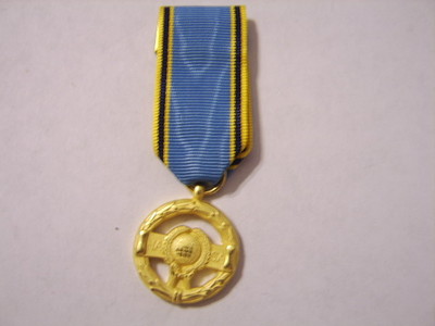 NASA EXCEPTIONAL SERVICE MEDAL MINIATURE SIZE;NASA15-1 | eBay