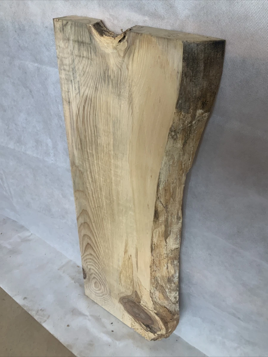 Monkey Puzzle Tree Lumber