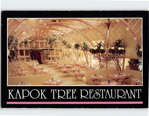 Postcard Terrace Kapok Tree Restaurant Clearwater Florida USA | eBay