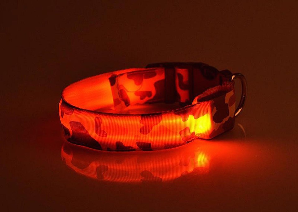 RECHARGEABLE LED PET GLOW COLLAR dog cat safety neck harness flash ...